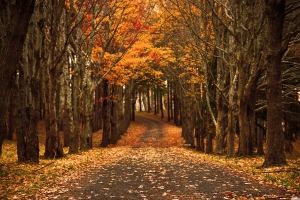 Die 85+ Besten Nice Hintergrundbilder